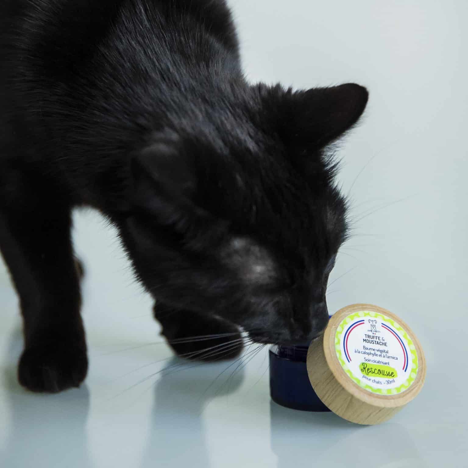 Baume de soin cicatrisant apaisant pour chat - Truffe & Moustache
